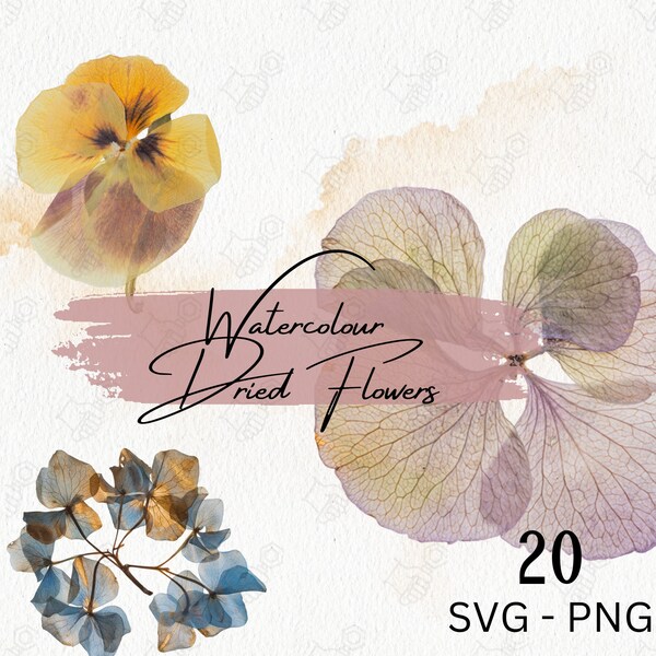 Pressed Leaves Card - Etsy