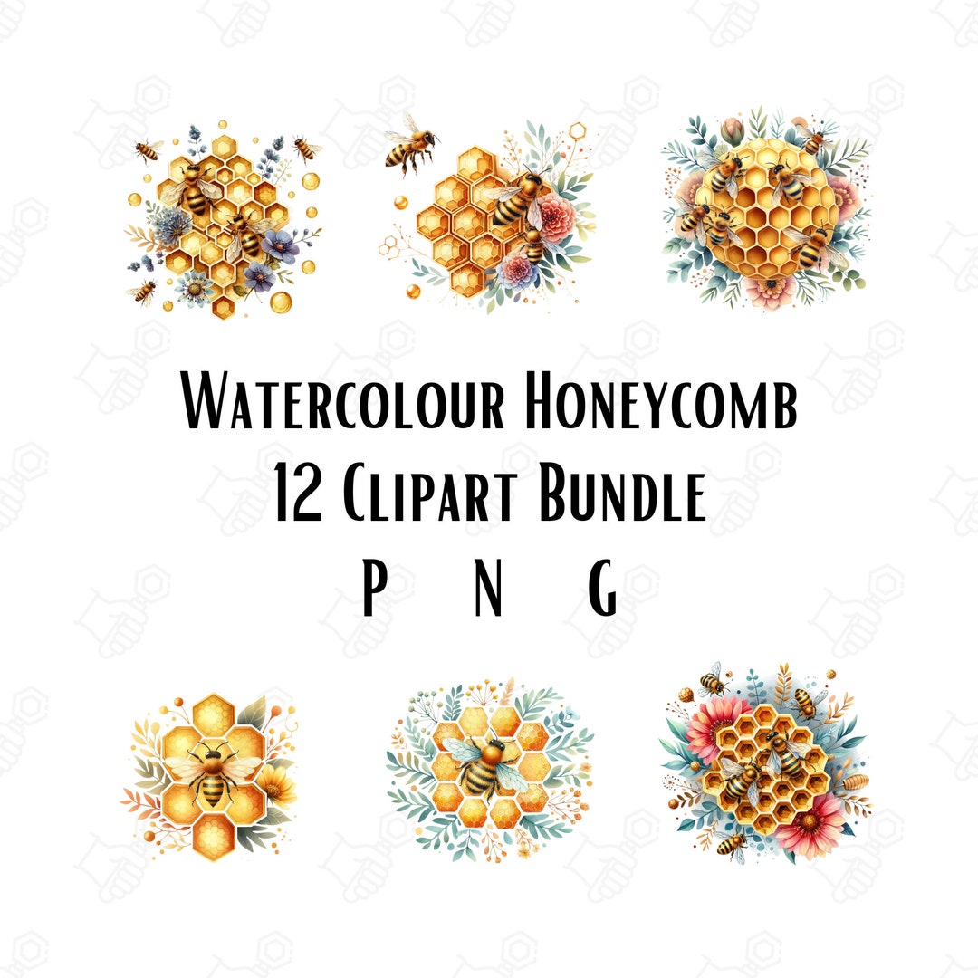 Watercolour Honeycomb 12 Clipart Bundle PNG Digital Art Pack Instant ...