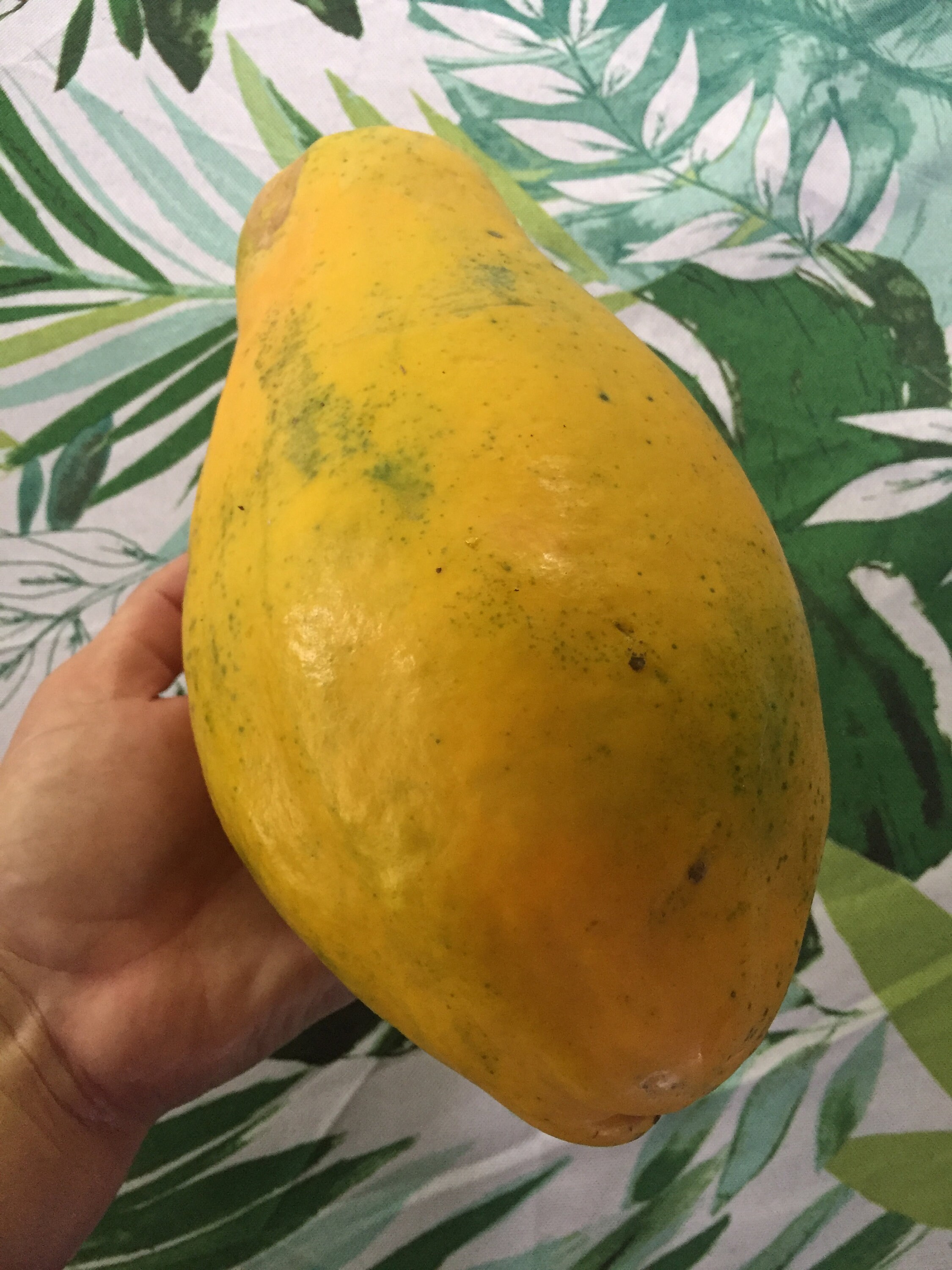 Hawaiian Papaya Seeds Hamakua Giants. 20 Seeds - Etsy