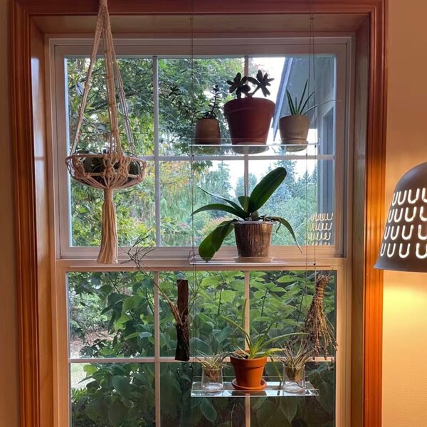 Window Plant Shelf - Etsy