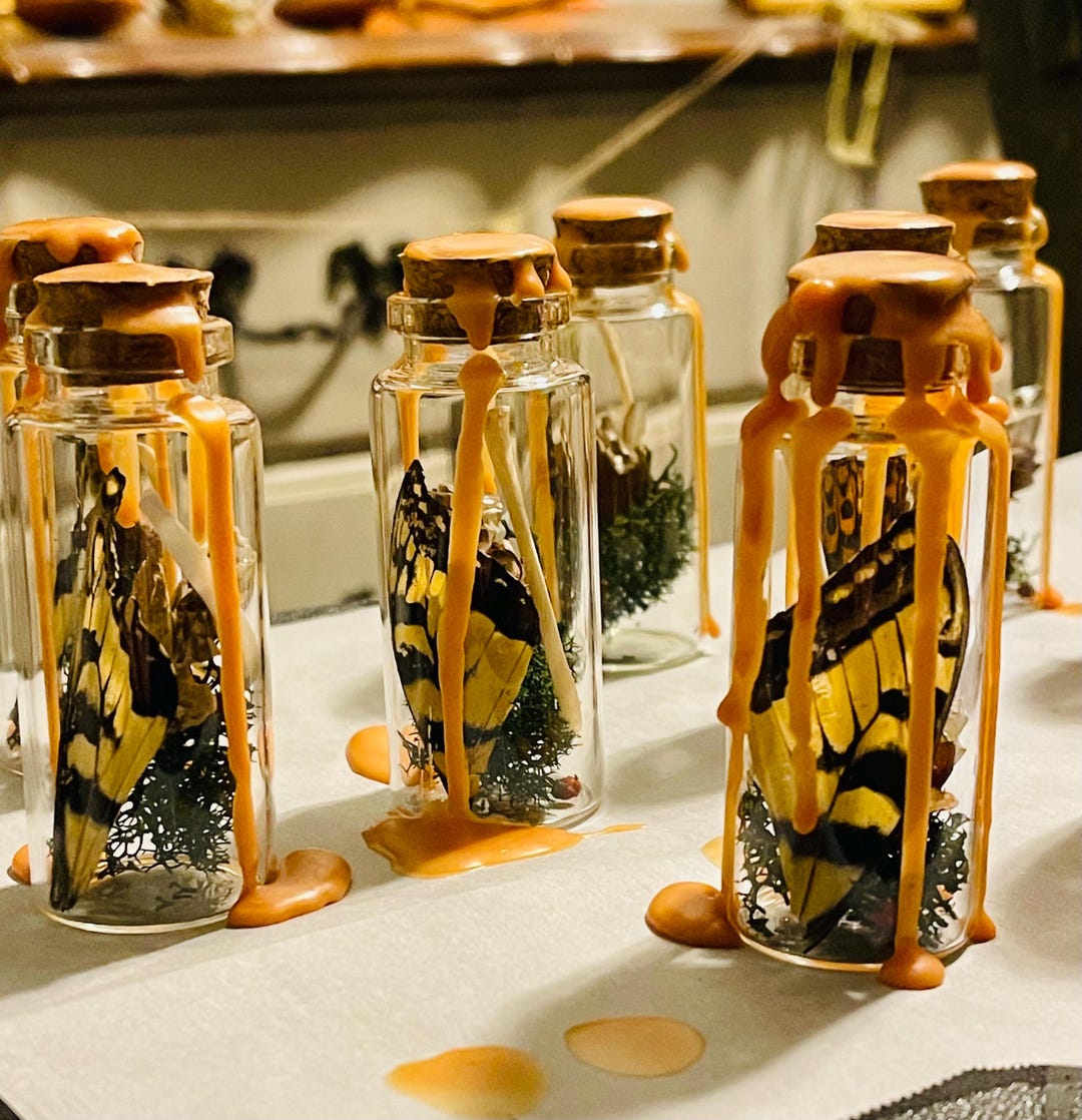 Glass Vials/oddity With Random Specimens and Dried Florals - Etsy