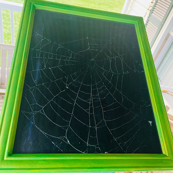 Framed Spider Web - Etsy