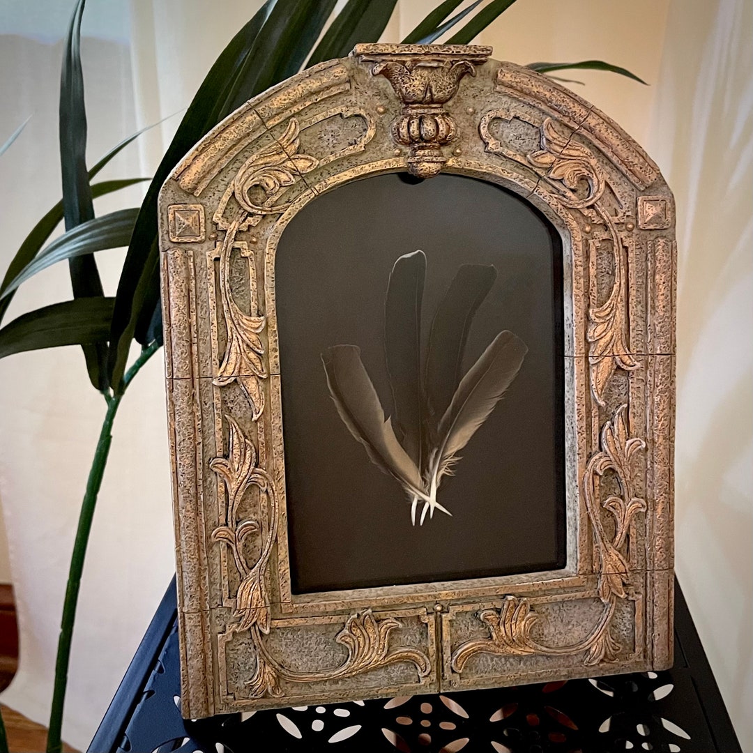 Beautiful Arched Gold Frame Feather Wall Art Unique Home Decor - Etsy