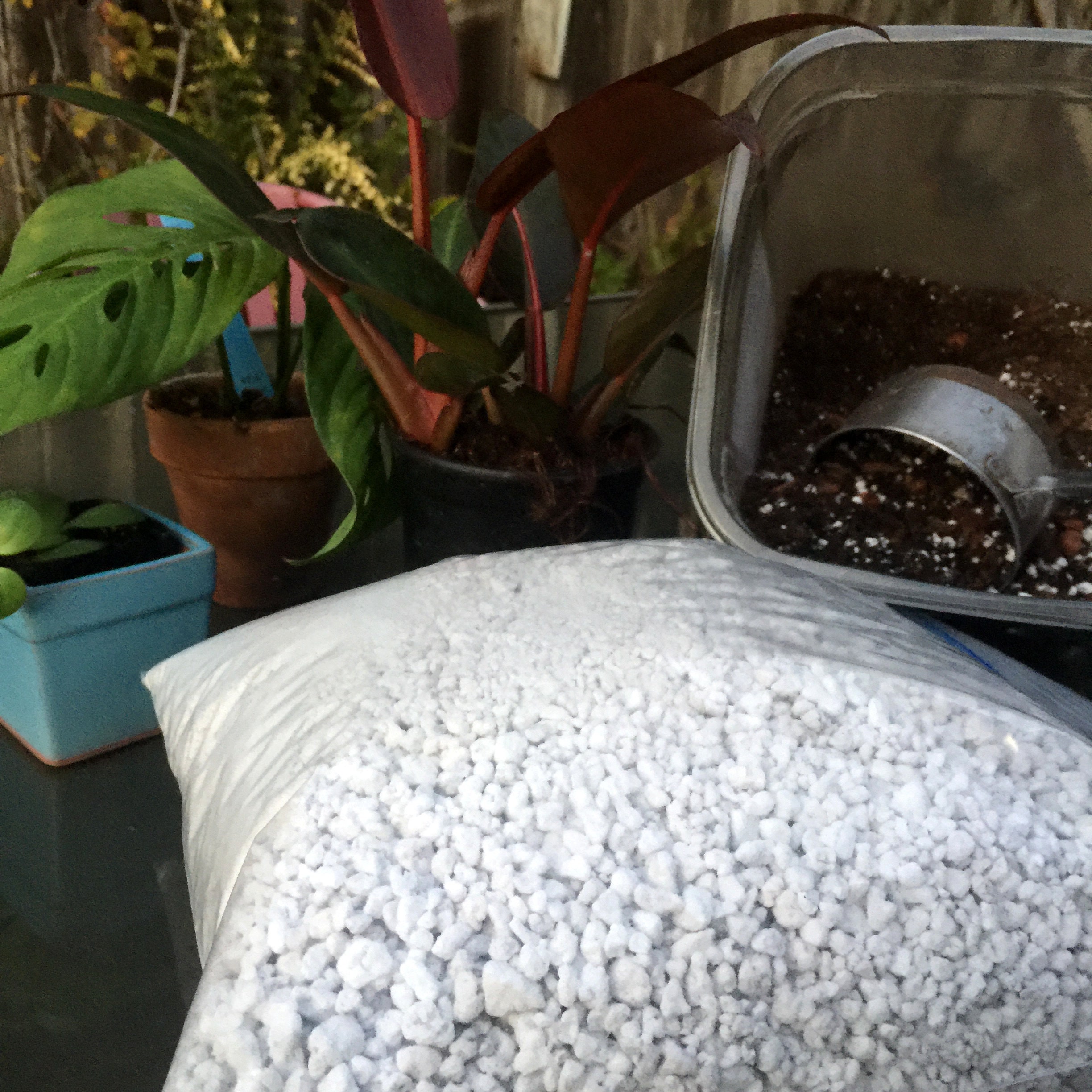 Perlite for Plants, Aeration Medium, Houseplant Additive - Etsy