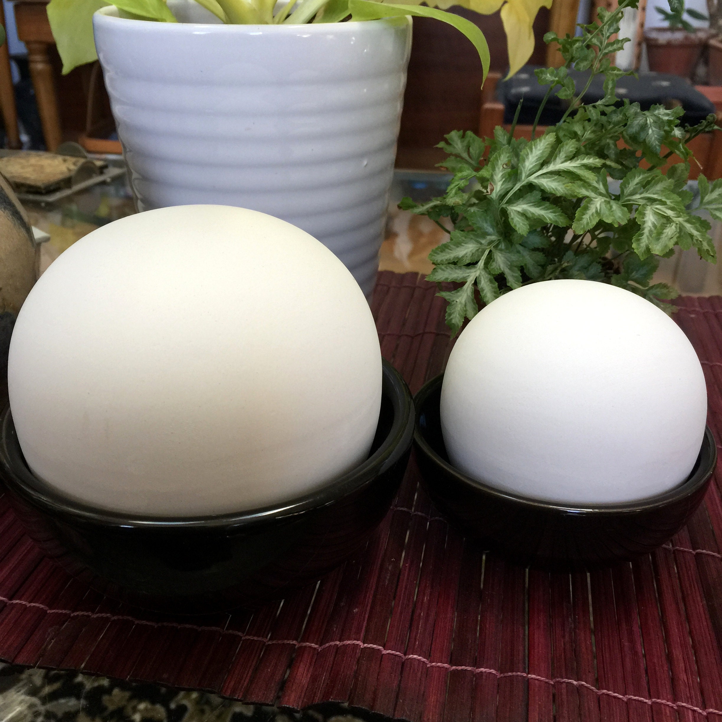 Plant Humidifier, Modern Plant Décor, Table Top Humidity Dome - Etsy