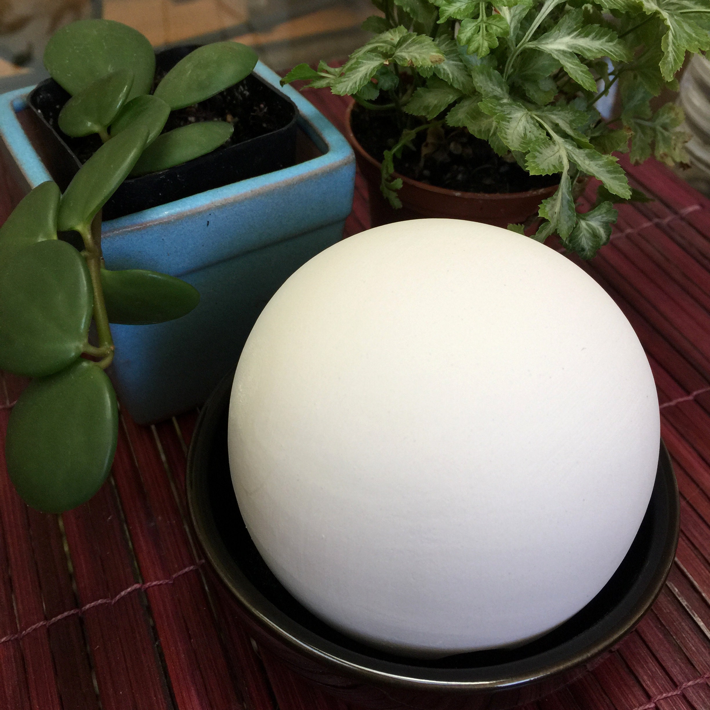 Plant Humidifier, Modern Plant Décor, Table Top Humidity Dome - Etsy