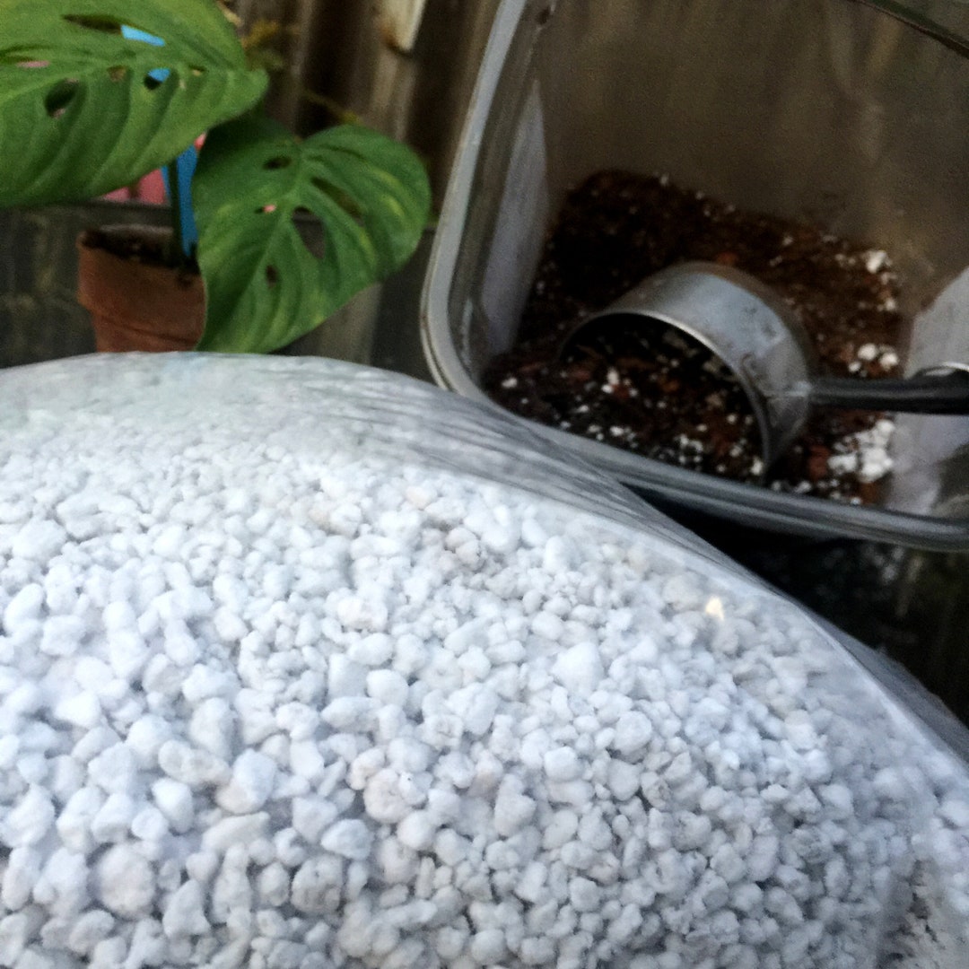 Perlite for Plants, Aeration Medium, Houseplant Additive - Etsy