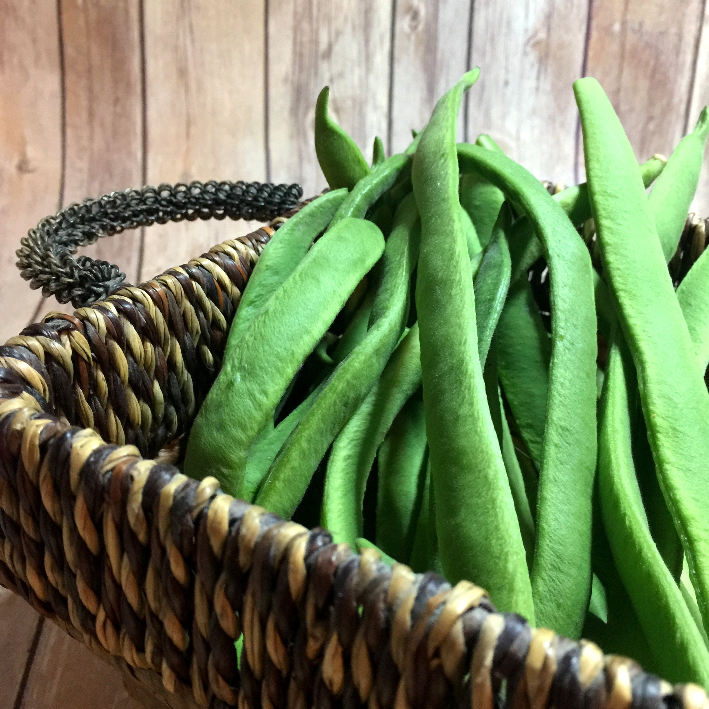 Scarlet Runner Beans, Pole String Beans, Perennial Bean Seed - Etsy