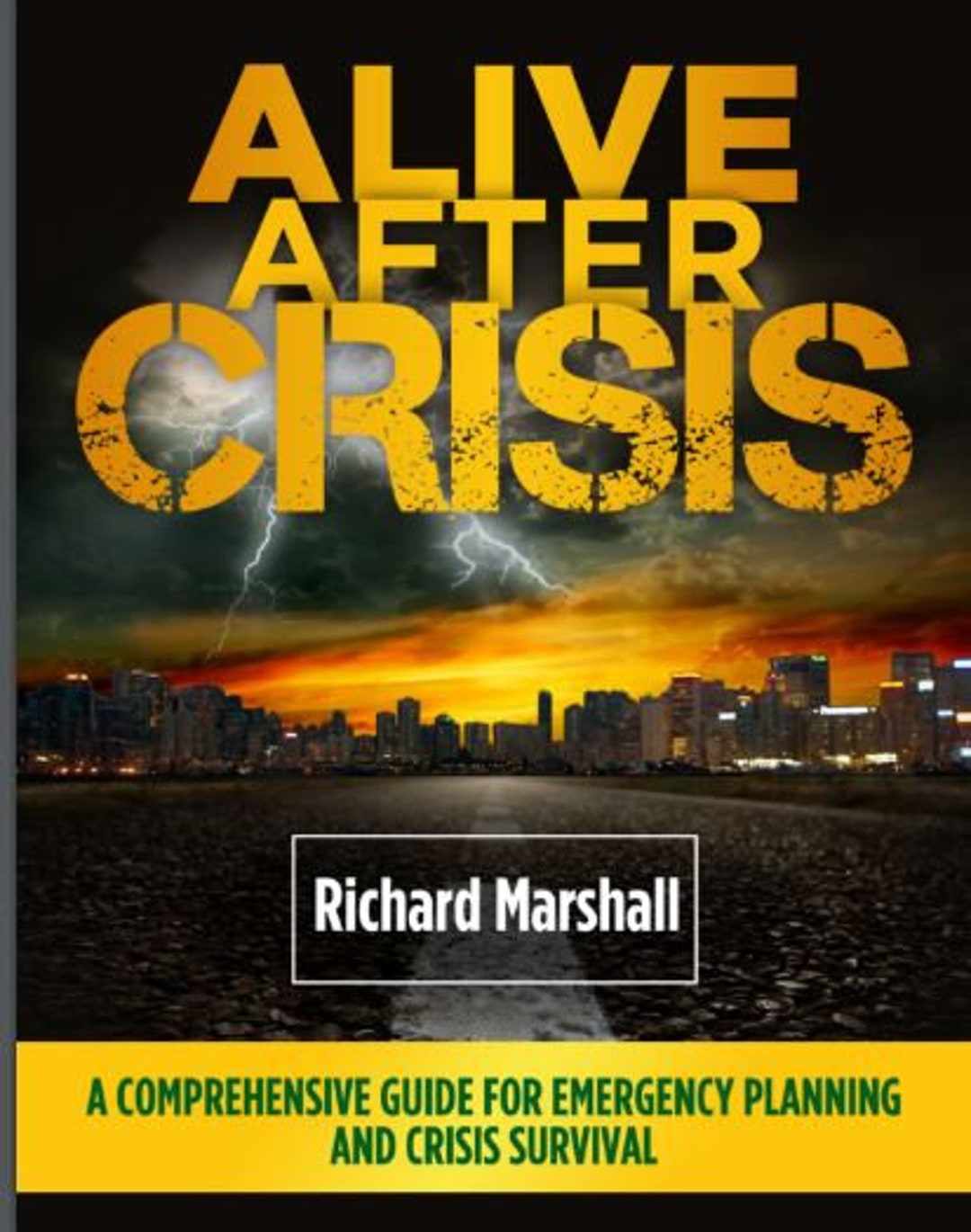 Alive After Crisis: Emergency Preparedness Survival Guide (PDF) - Etsy