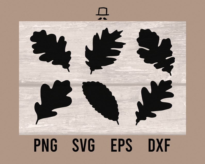 Oak Leaf SVG Bundle, Digital Download, Silhouettes of Autumn Leaves ...