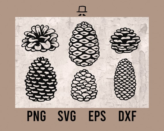 Pine Cone SVG Bundle Digital Download Cut Files for Cricut - Etsy