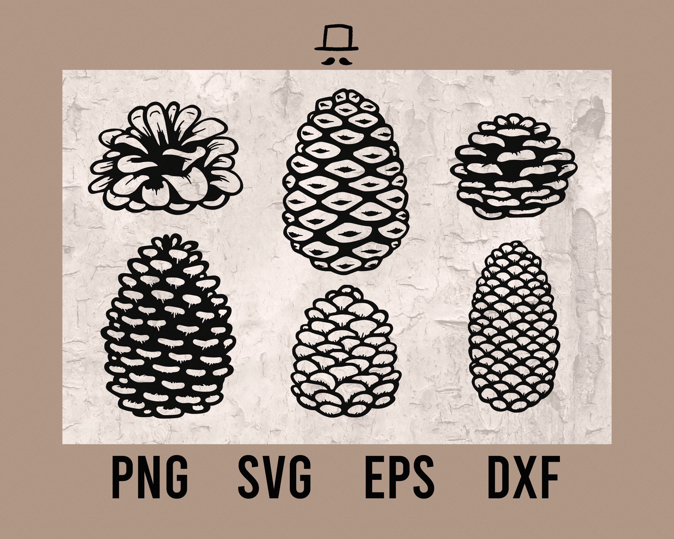 Pine Cone SVG Bundle, Digital Download, Cut Files for Cricut, Cameo ...