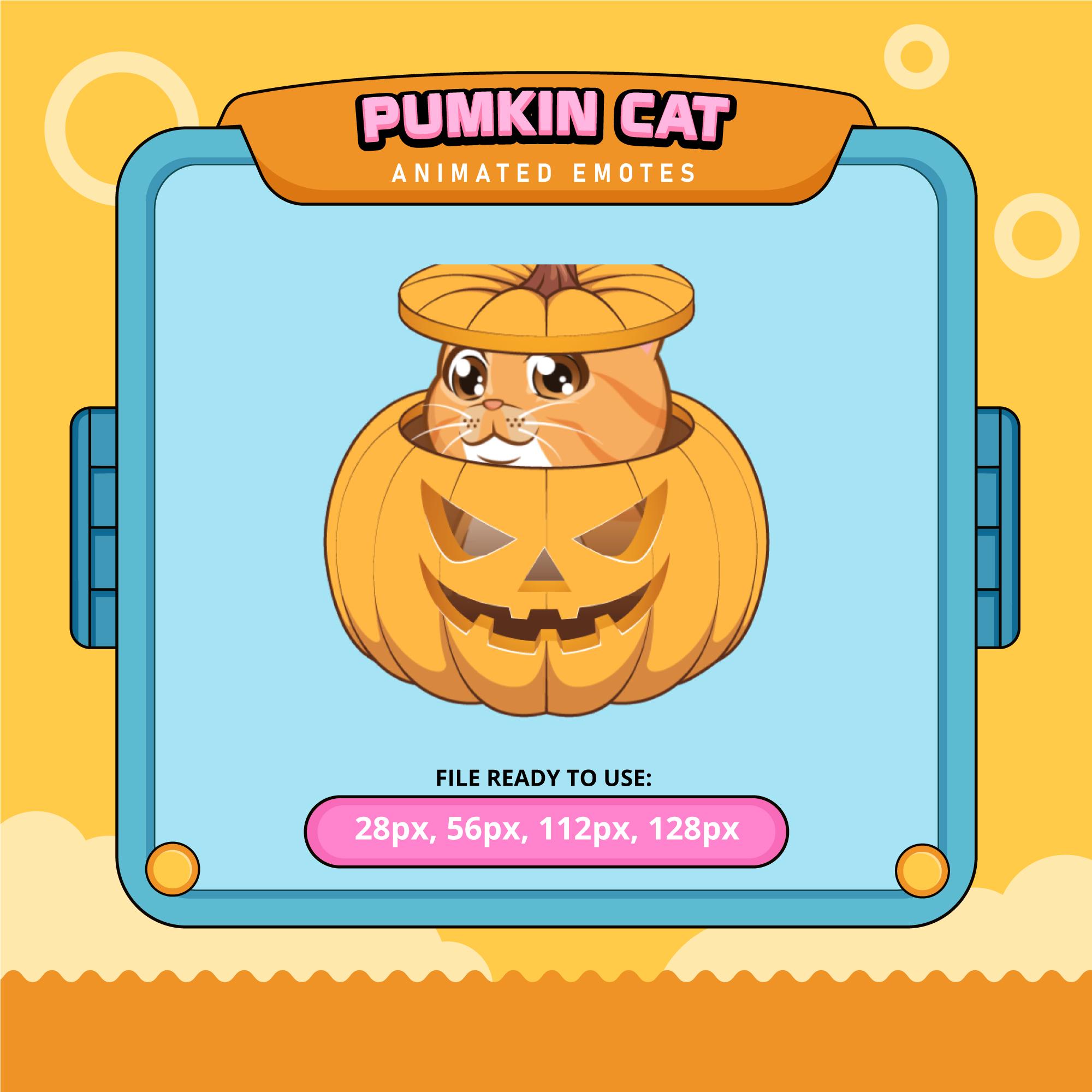 Pumkin Cat Animated Emotes | Twitch Emotes | Kick Emotes | Emoji ...
