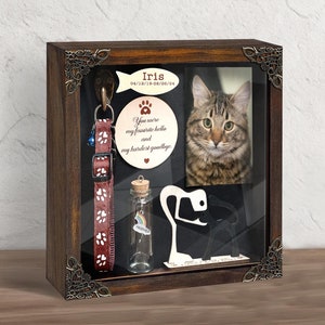 Cat Memorial Shadow Box, Cat Hair Fur Jar Pet Lover Gift With Collar ...