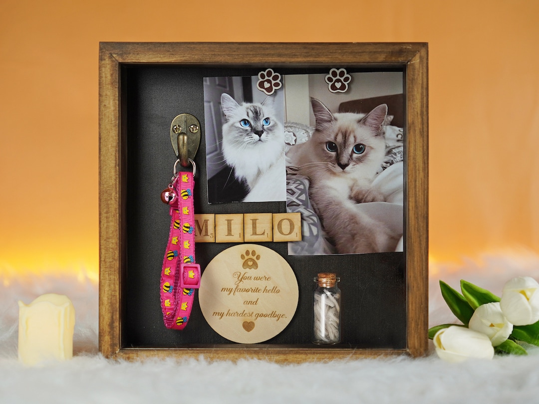 Personalized Cat Memorial Keepsake Shadow Box, Pet Name Sign With ...