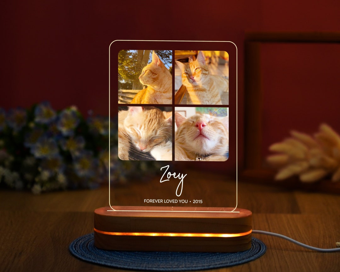 Personalized Pet Photo Night Light, Custom Dog Table Decor, Pet ...