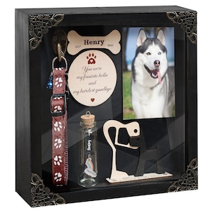 Cat Memorial Shadow Box, Cat Hair Fur Jar Pet Lover Gift With Collar ...