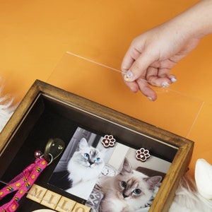 Personalized Cat Memorial Keepsake Shadow Box, Pet Name Sign With ...