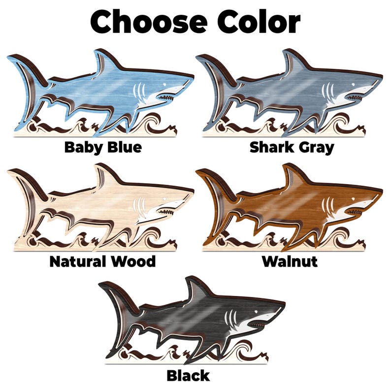 Shark Tooth Display Shark Shadow Box for Sting Ray Teeth Sea Glass ...