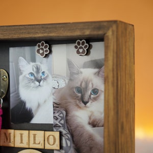 Personalized Cat Memorial Keepsake Shadow Box, Pet Name Sign With ...