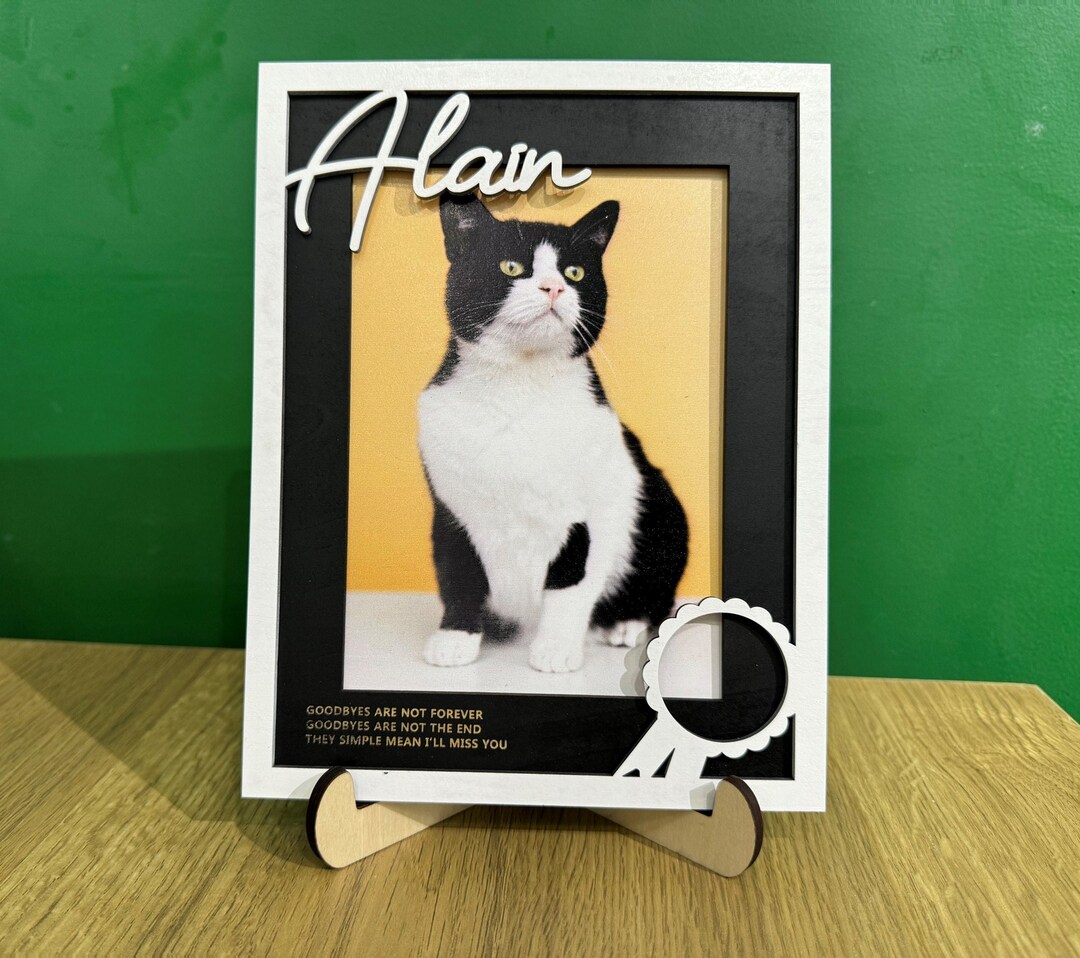 Personalized Cat Frame,cat Name Photo Frame,dog Memorial Gift,dog ...