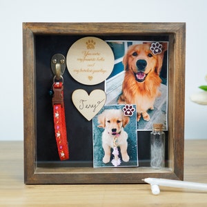 Personalized Pet Shadow Box, Pet Memorial Coller Holder Frame, Pet Loss ...