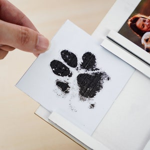 Collar Holder Frame Dog Memorial Shadow Box, Dog Paw Print Keepsake ...