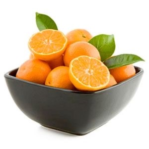 Ponkan Mandarin Grafted Tree (citrus Reticulata) - Chinese Honey Orange ...