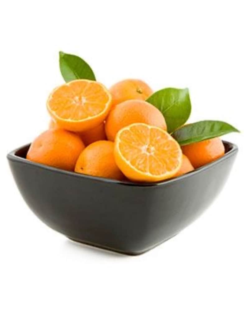 Ponkan Mandarin Grafted Tree (citrus Reticulata) - Chinese Honey Orange ...