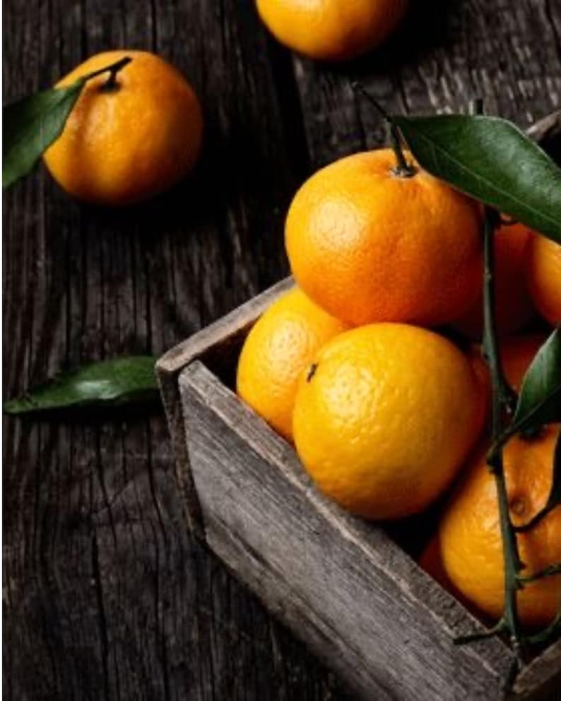 Murcott Honey Mandarin 3ft Grafted Tree ( No Shipping Ca). - Etsy