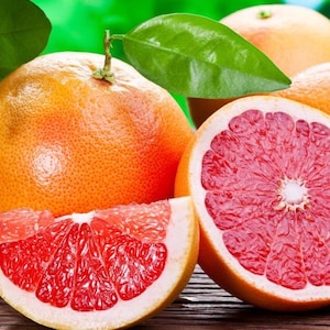 Red Grapefruit Tree, 3ft Tall, Grafted Tree .. No Shipping Ca - Etsy
