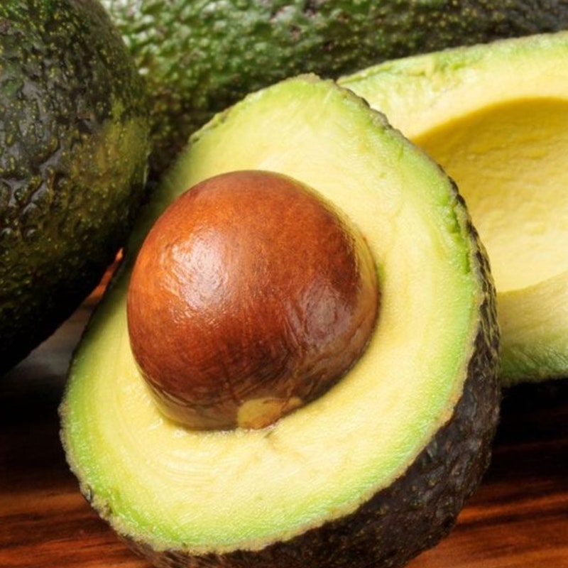 Del Rio Avocado Tree - Etsy