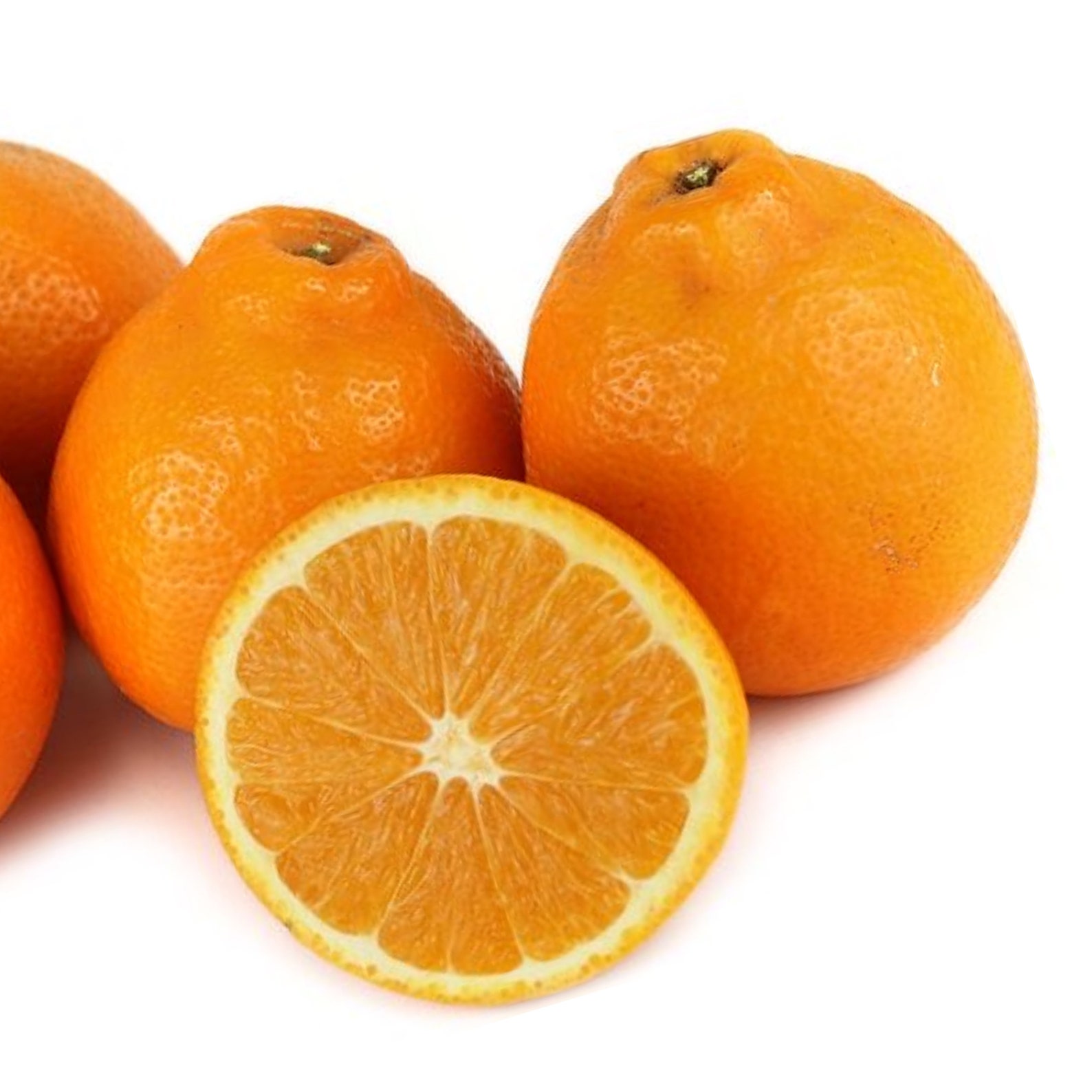 Minneola Tangelo 3ft Tall Grafted Tree ( No Shipping CA) - Etsy