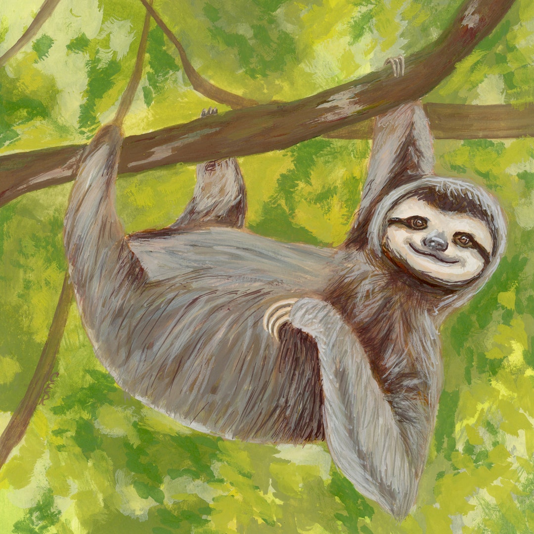 Three Toed Sloth 8"x8" Gouache Original Painting - Etsy