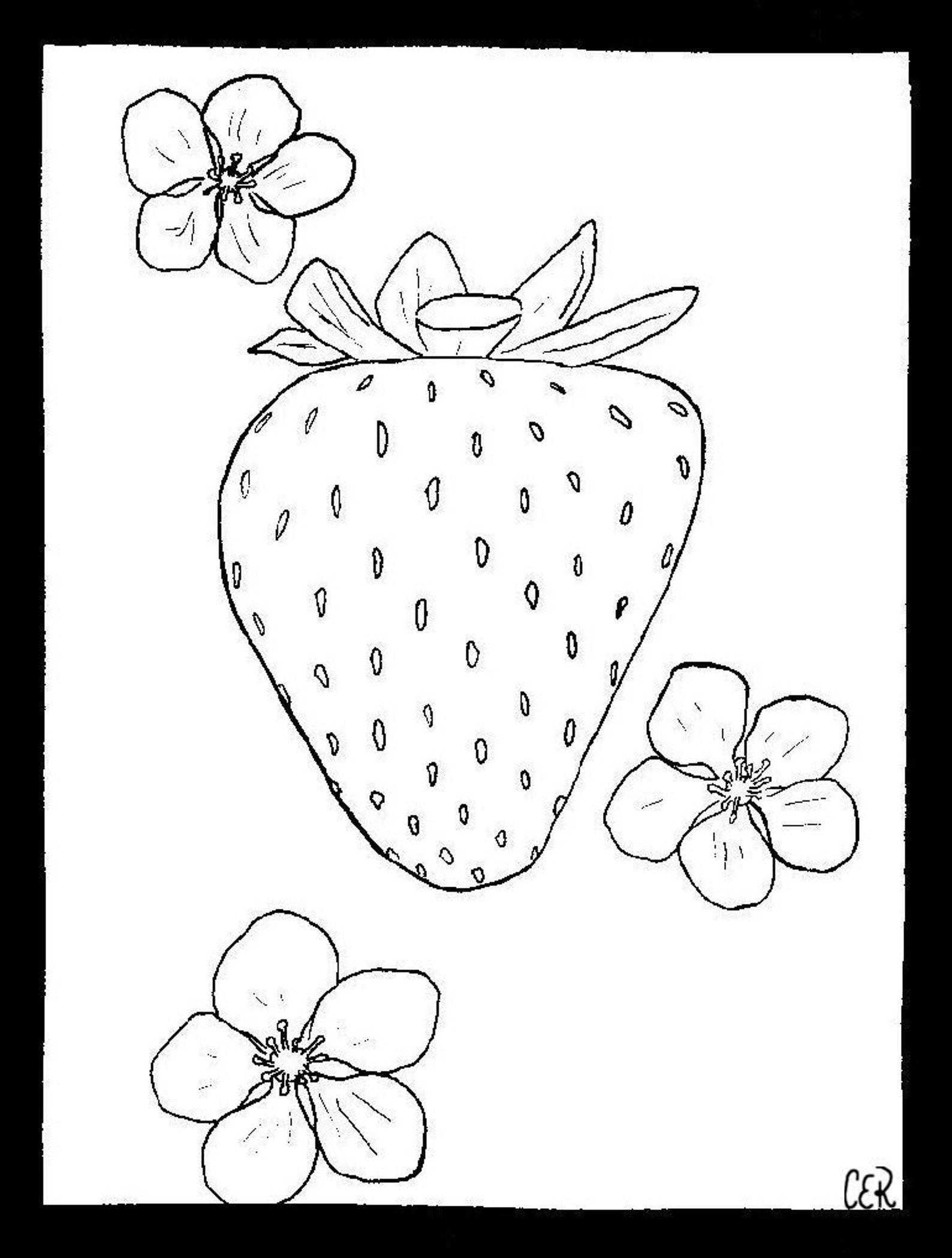Strawberry & Flower Printable Coloring Page - Etsy