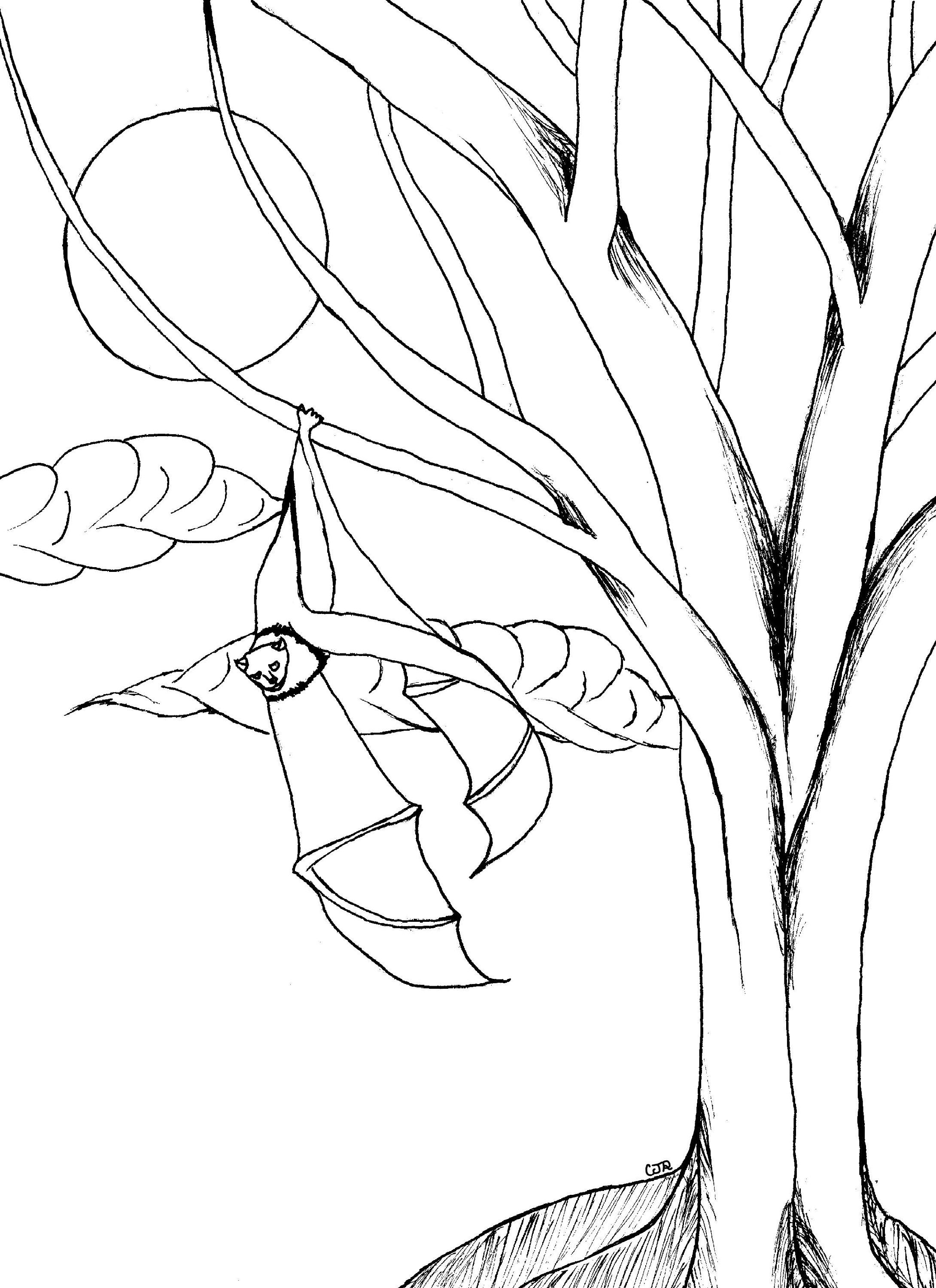 Bat in Tree Printable Coloring Page - Etsy