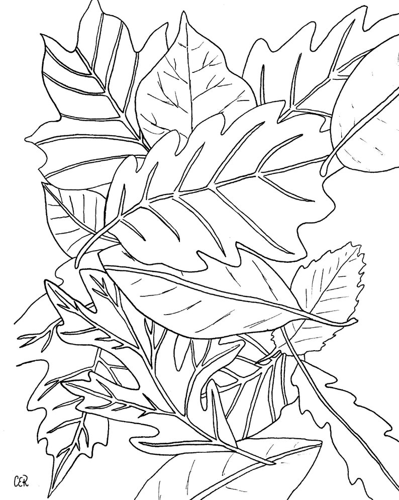 Fallen Leaves Printable Coloring Page - Etsy