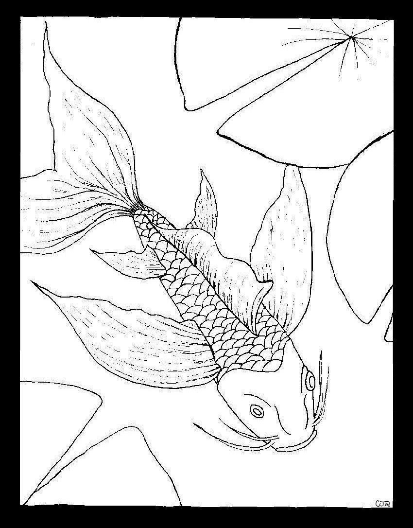 Koi Pond Printable Coloring Page - Etsy Canada