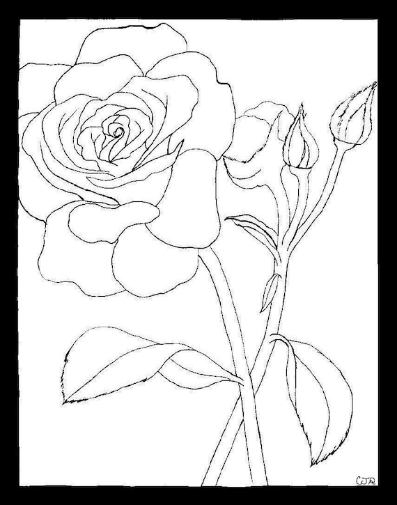 Roses Printable Coloring Page - Etsy