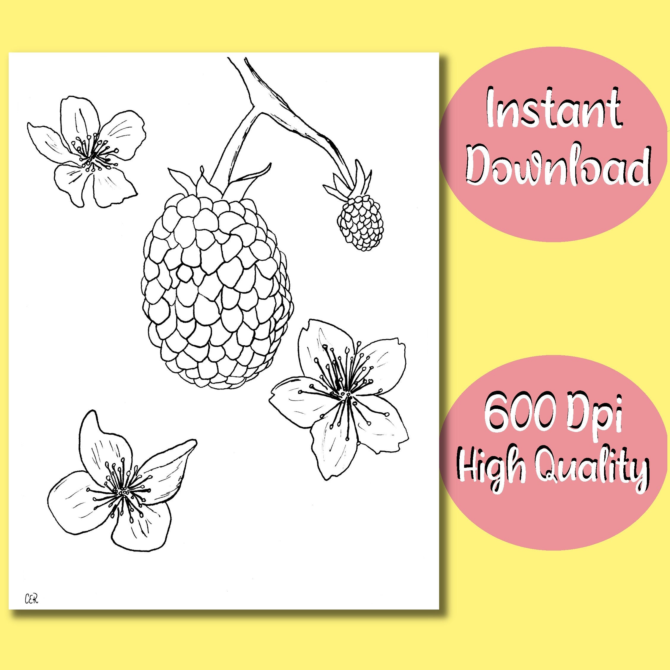 Blackberry Coloring Page