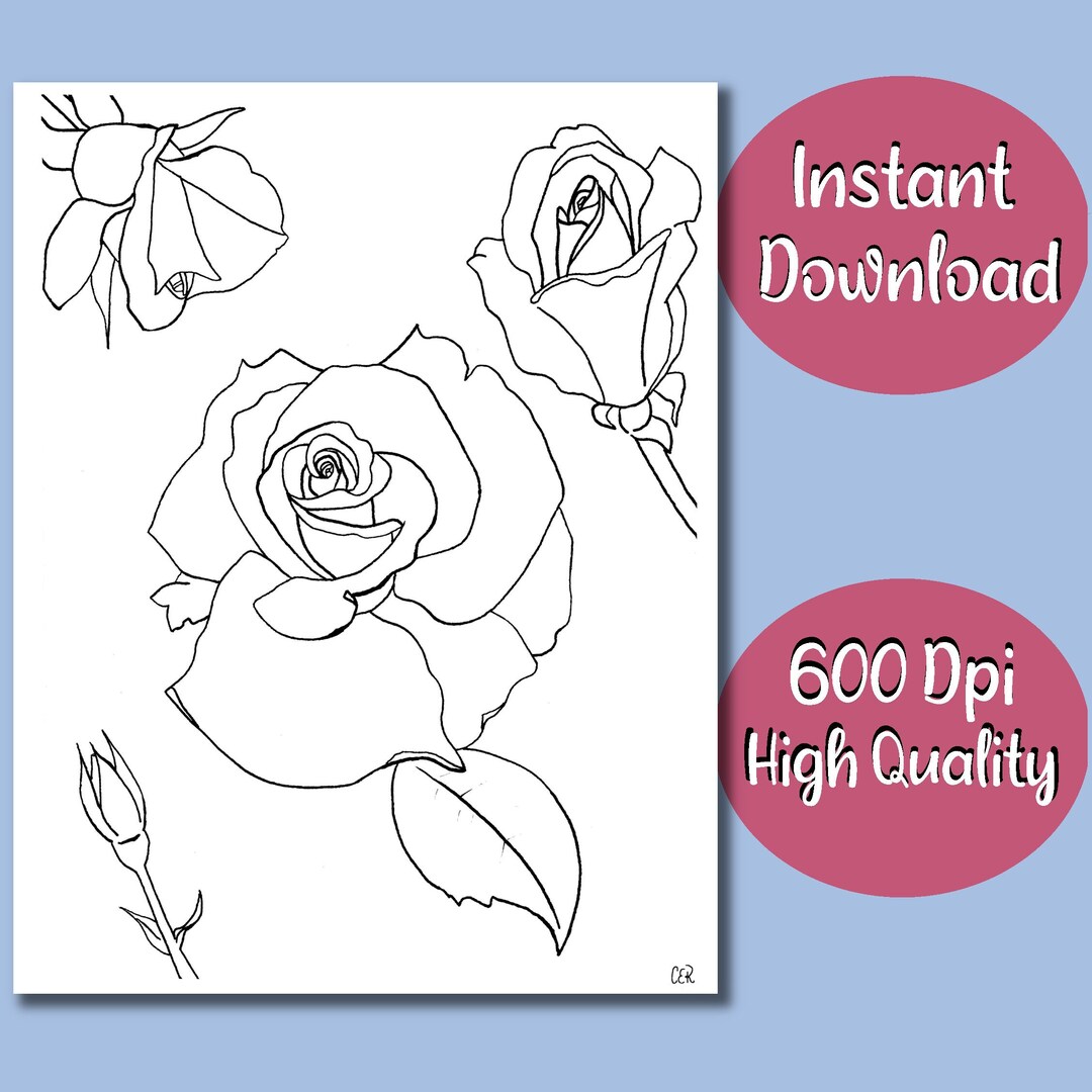 Rose Study Printable Coloring Page - Etsy