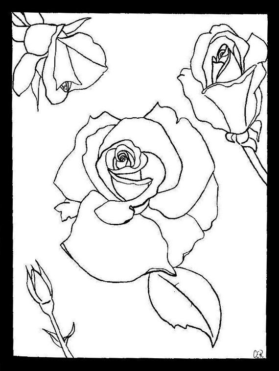 Rose Study Printable Coloring Page - Etsy