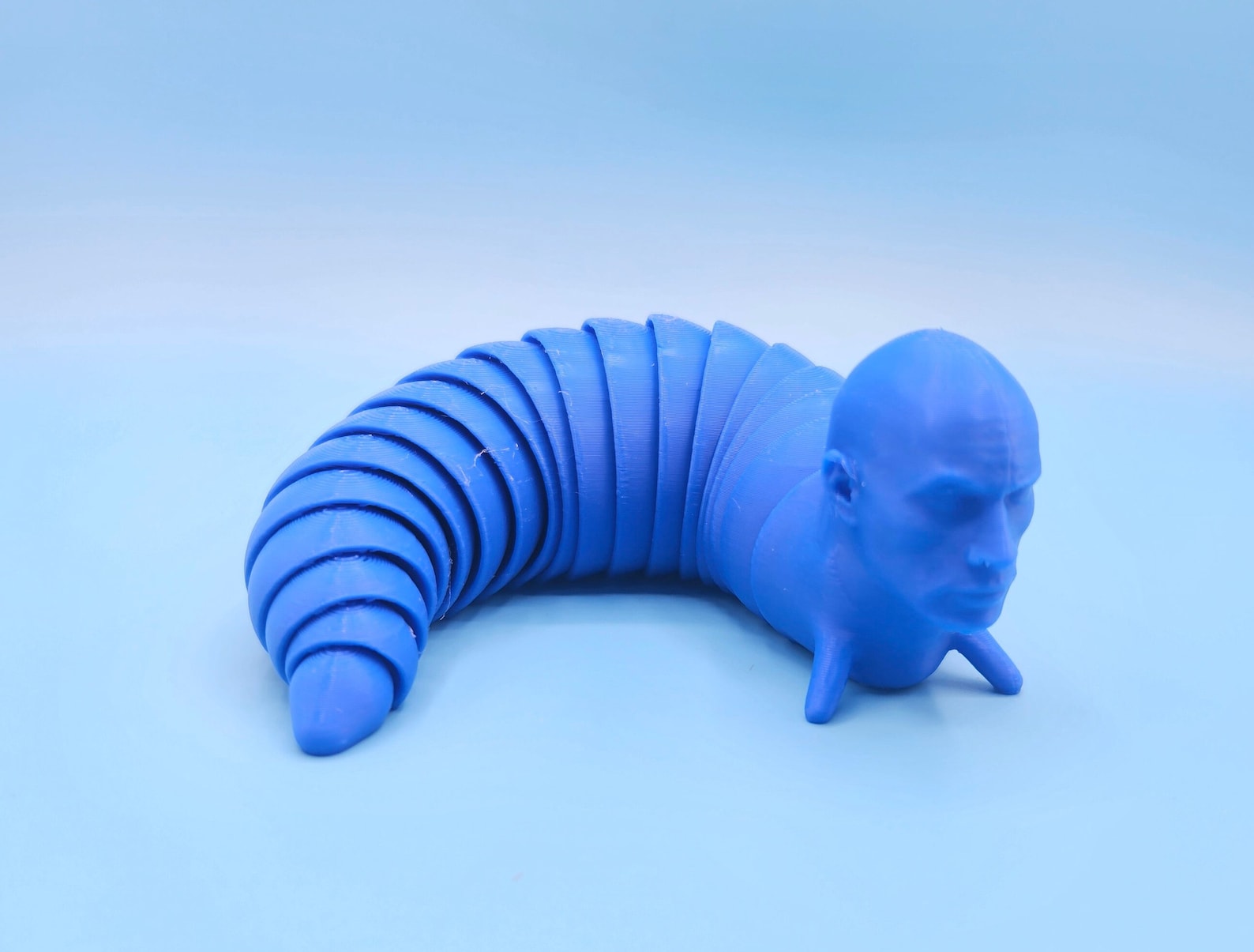 Rock Fidget Slug Articulated Slug / Dwayne the Rock Johnson / Gag Gift ...