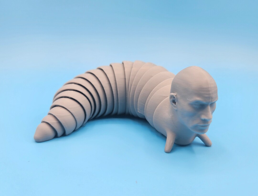 Rock Fidget Slug Articulated Slug / Dwayne the Rock Johnson / Gag Gift ...