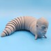Rock Fidget Slug Articulated Slug / Dwayne the Rock Johnson / Gag Gift ...