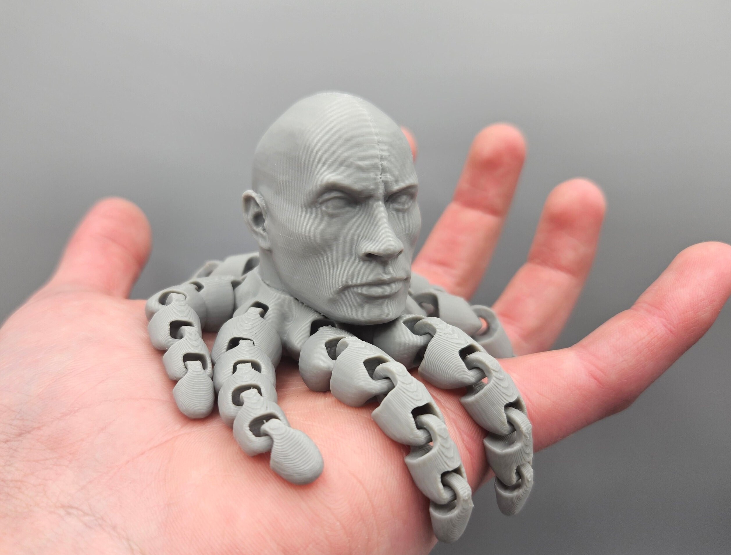 3D Printed Articulating Rocktopus Fidget Toy Flexi Toy Rocktopus / the ...