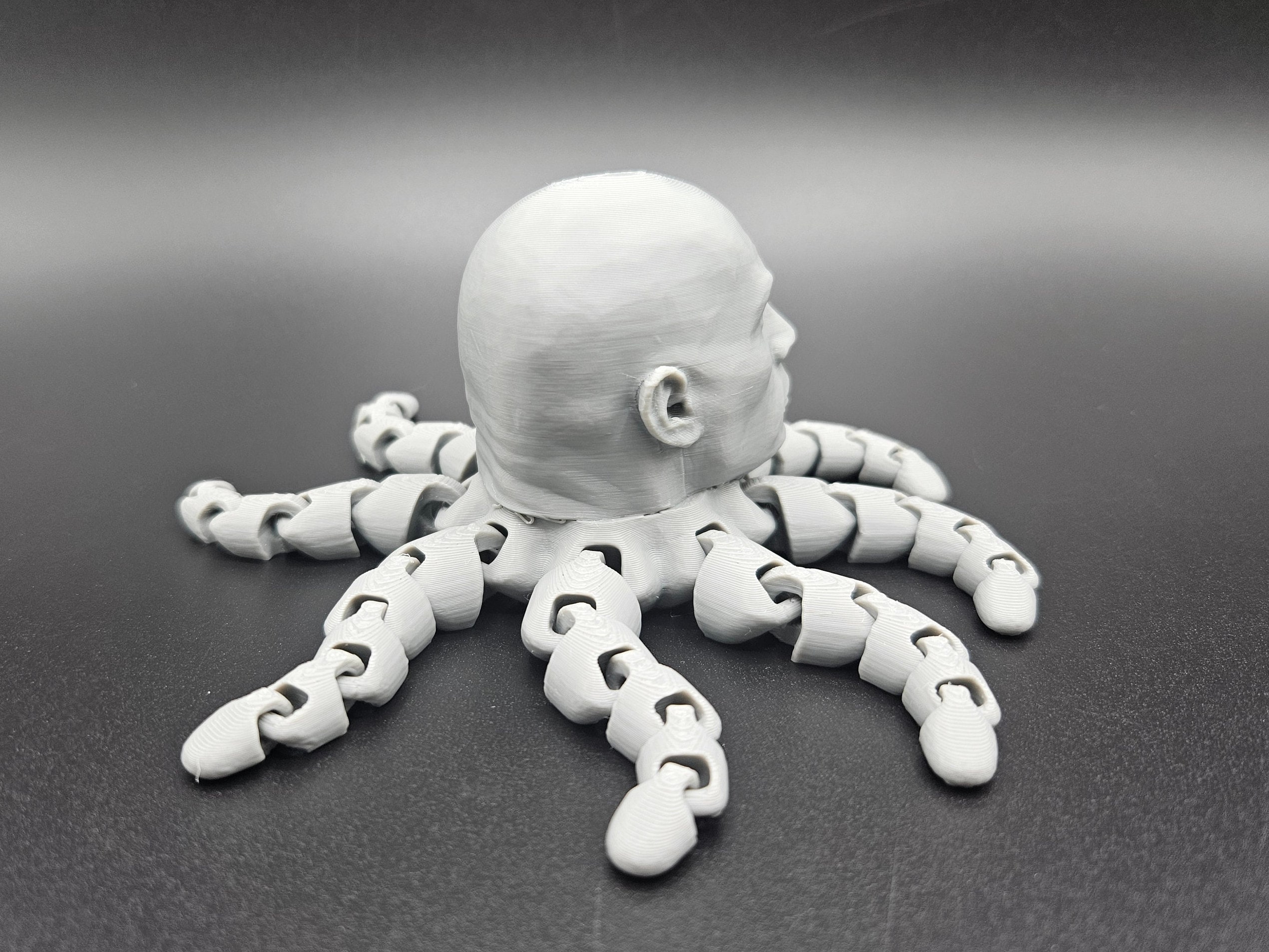 3D Printed Articulating Rocktopus Fidget Toy Flexi Toy Rocktopus / the ...