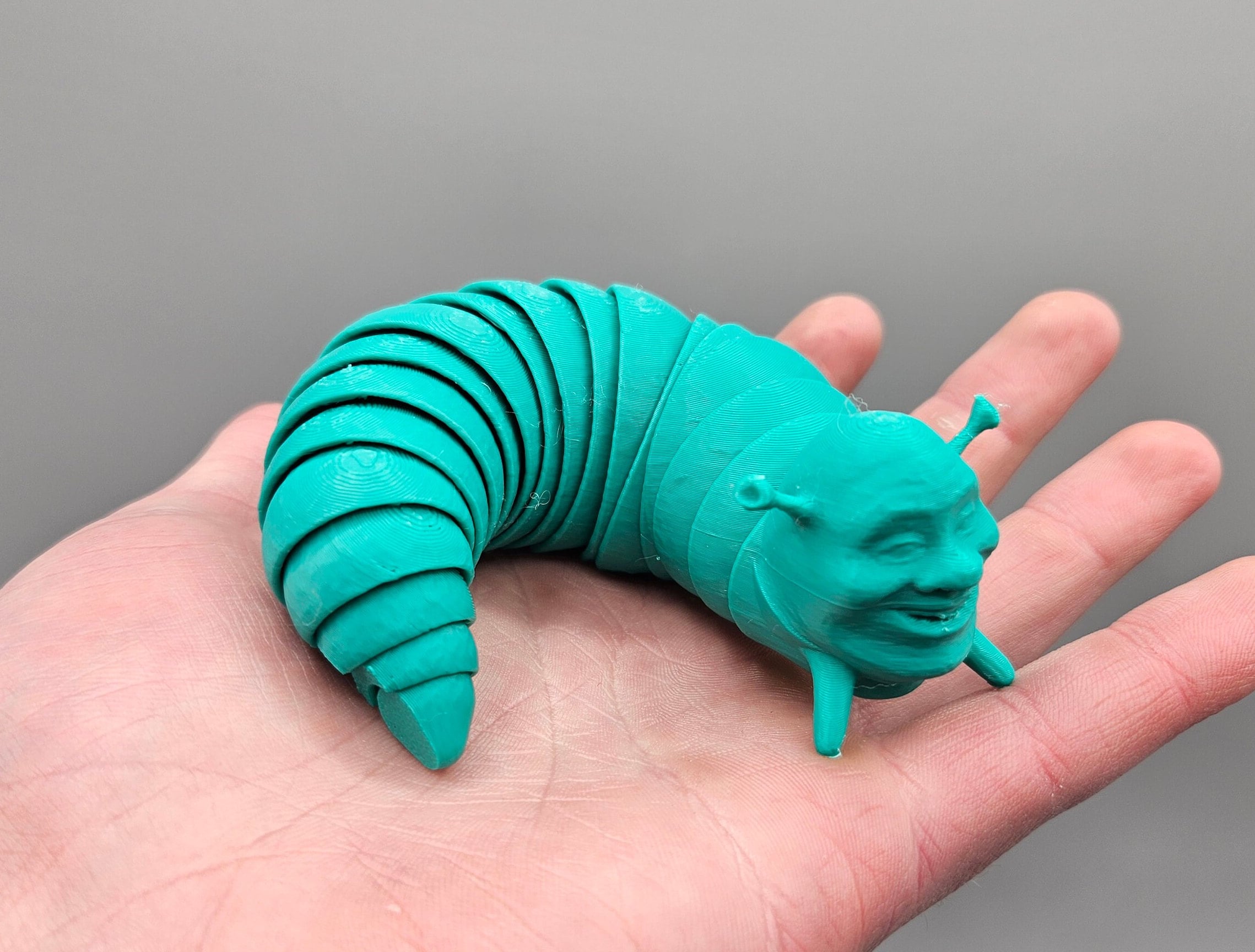 Shrek Fidget Slug Articulated Slug / Gag Gift / 3D Printed / Kids Toy ...