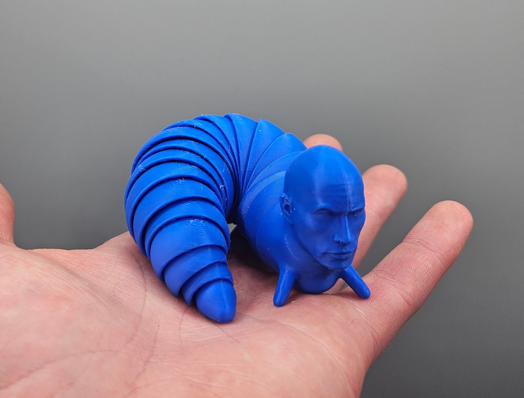 Rock Fidget Slug Articulated Slug / Dwayne the Rock Johnson / Gag Gift ...