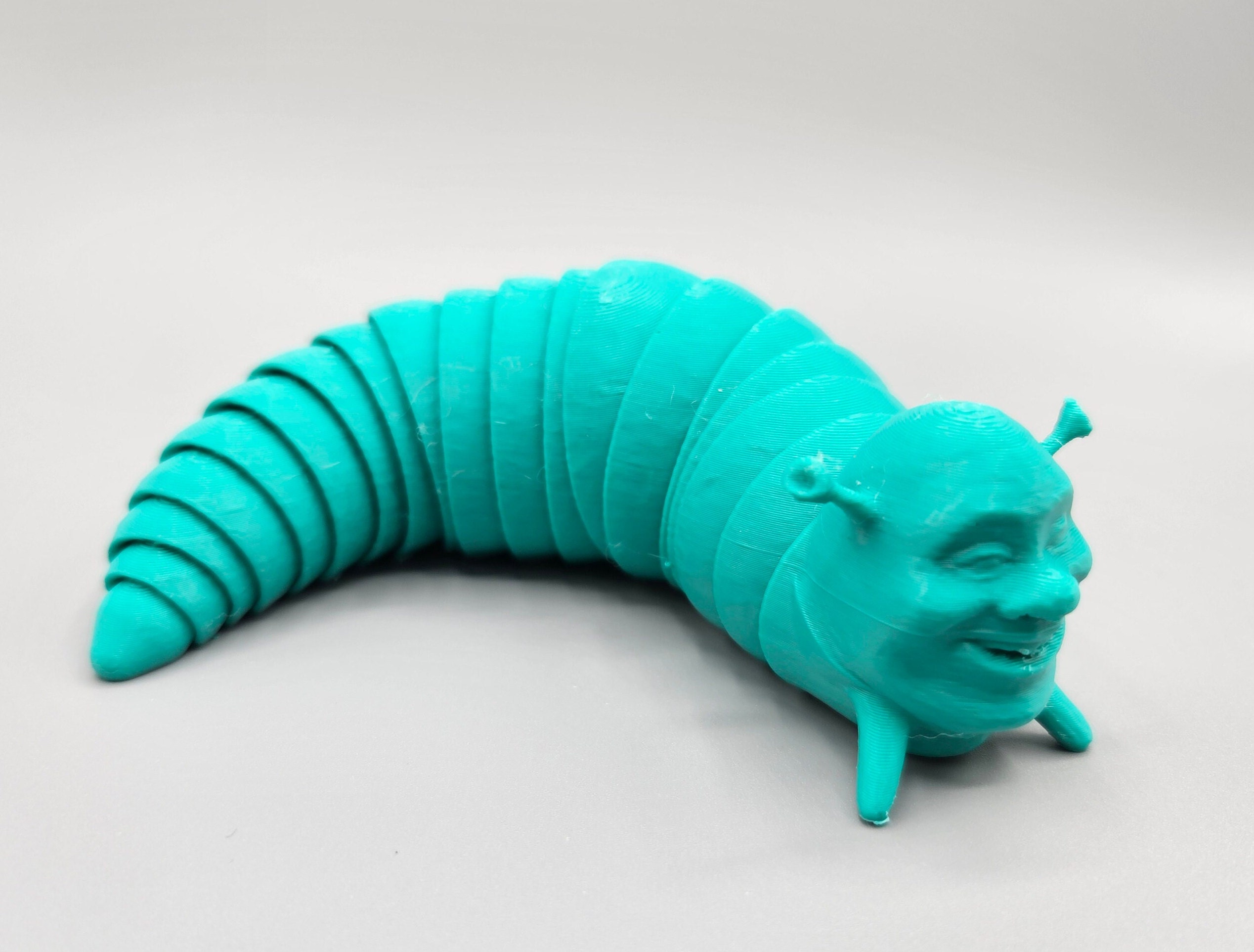 Shrek Fidget Slug Articulated Slug / Gag Gift / 3D Printed / Kids Toy ...